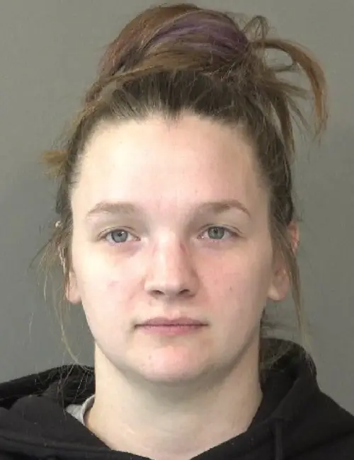 Jail Bookings – InkFreeNews.com